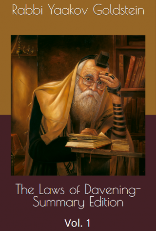 Chapter 14: The Chazan – shulchanaruchharav.com